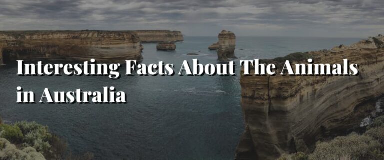 83 Amazing Must-Know Facts About Australia - Visiting Australia