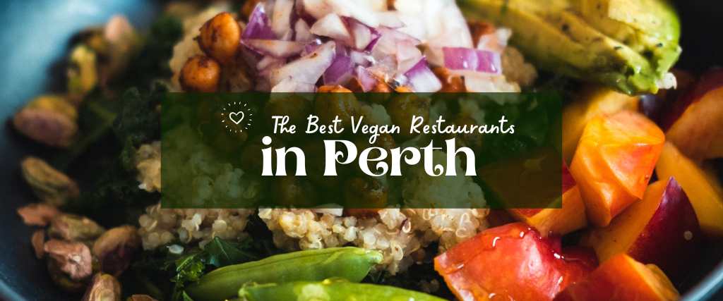 The Best Vegan Restaurants in Perth – Visiting Australia
