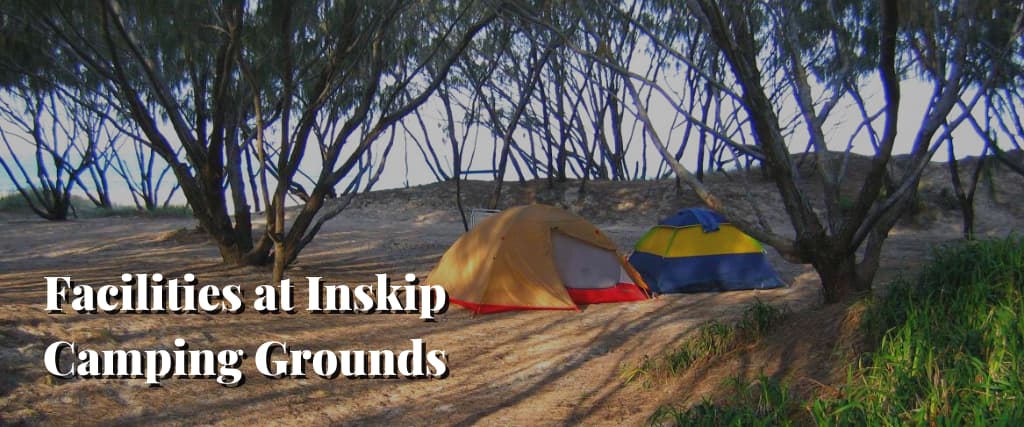 Your complete Inskip Point Camping Guide for 2024 - Visiting Australia