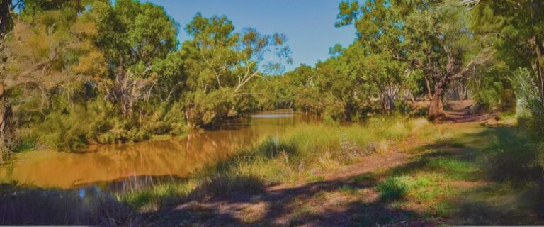 15 of the Best Things To See and Do in Charleville - Visiting Australia