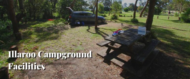 Introducing the Illaroo Campground in the Yuraygir National Park ...