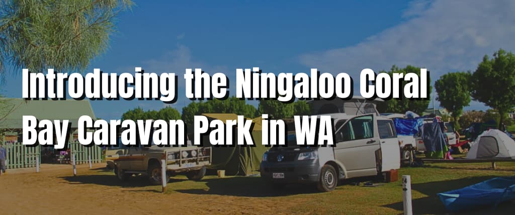 Introducing the Ningaloo Coral Bay Caravan Park in WA – Visiting Australia