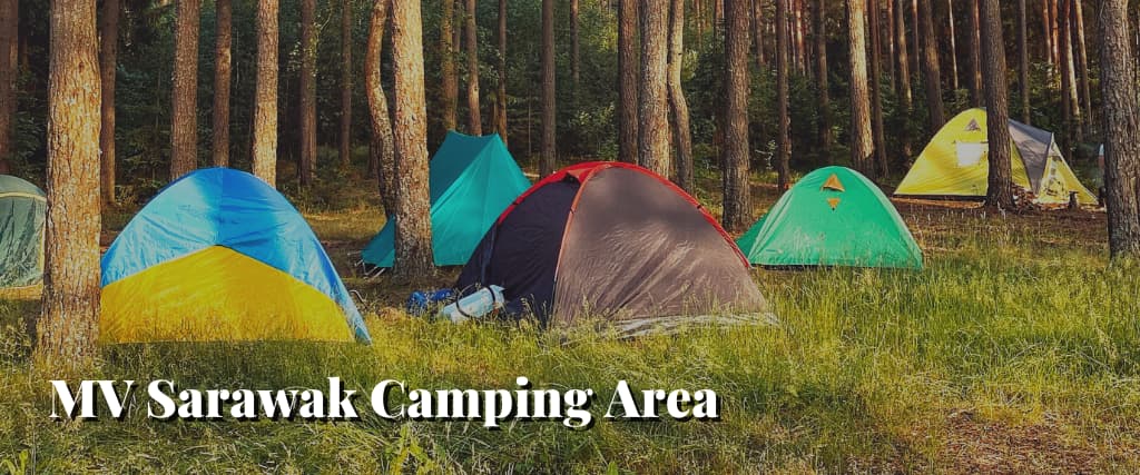 Your complete Inskip Point Camping Guide for 2024 - Visiting Australia