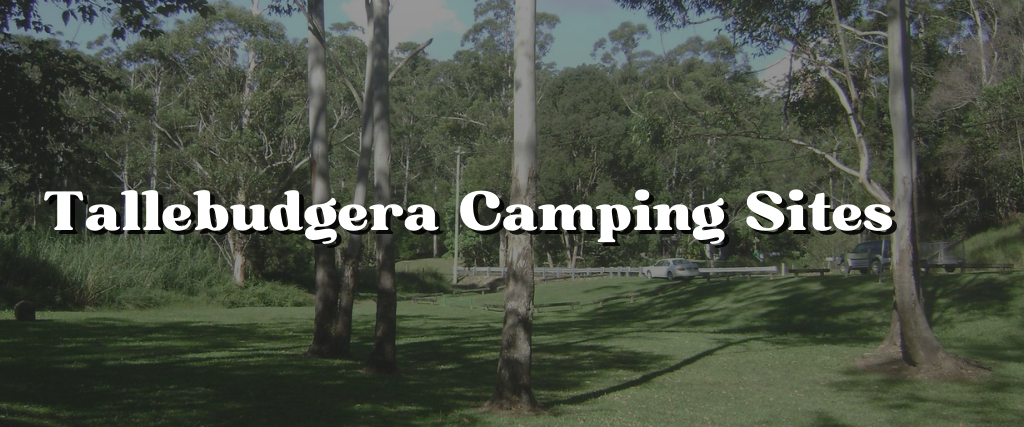 Review of the Tallebudgera Caravan Park - Visiting Australia