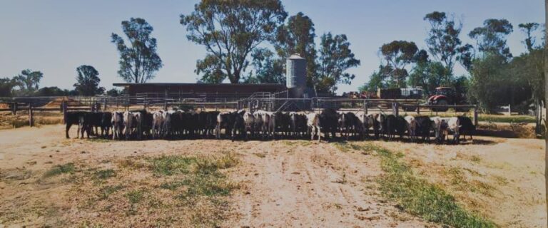 Where is Kyabram? - Visiting Australia