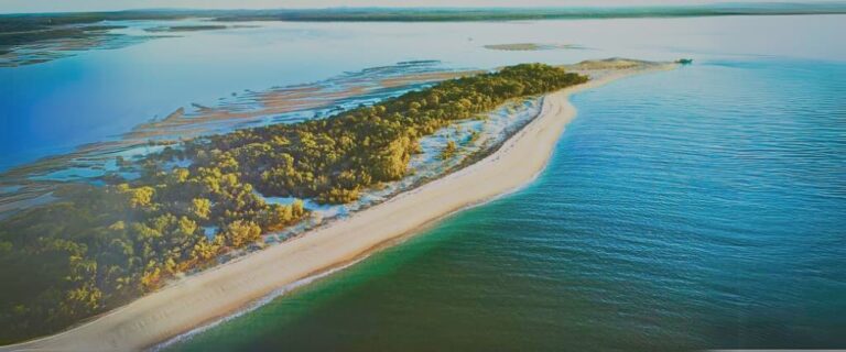 Your complete Inskip Point Camping Guide for 2024 - Visiting Australia