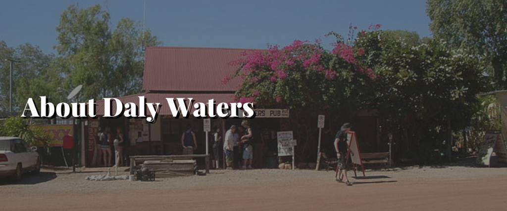 A review of the Daly Waters Pub Caravan Park in Daly Waters NT ...