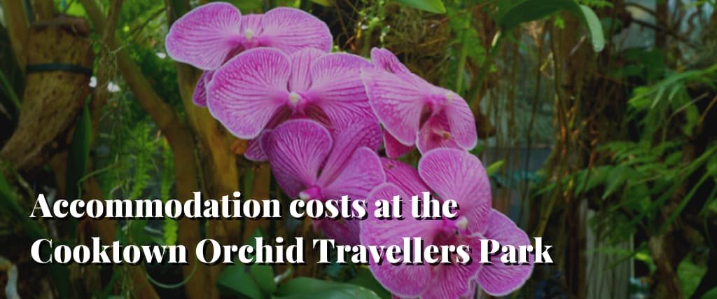 A review of the Cooktown Orchid Travellers Park in Far North Queensland ...