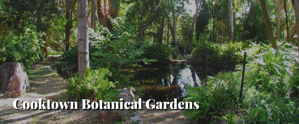 A review of the Cooktown Orchid Travellers Park in Far North Queensland ...