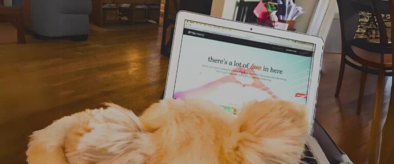 11 of the Best Dating Apps and Sites in Australia - Visiting Australia