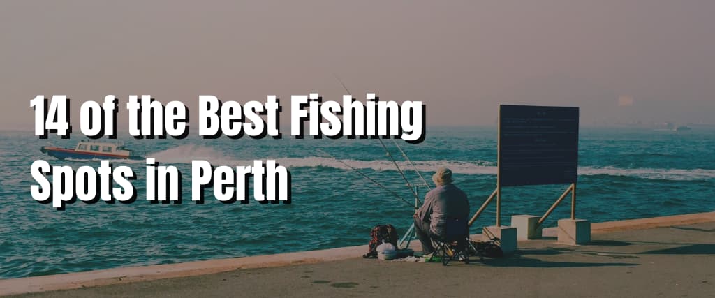 14 of the Best Fishing Spots in Perth – Visiting Australia