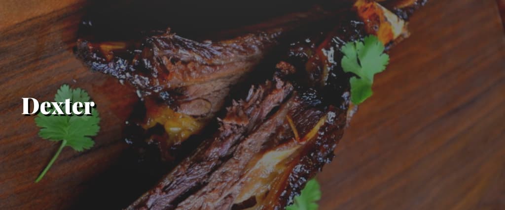 13 Best American BBQ Restaurants in Melbourne - Visiting Australia