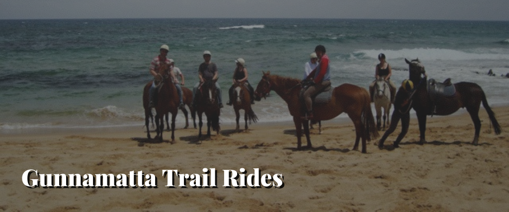 5 of the Best Places Near Melbourne to Go Horse Riding - Visiting Australia