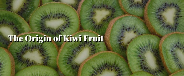 Why Are New Zealanders Called Kiwis? - Visiting Australia