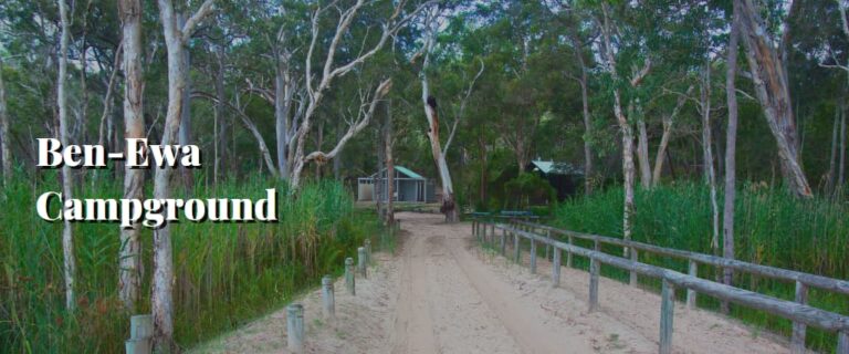A Comprehensive Guide to Camping on Mulgumpin (Moreton Island) - Visiting Australia