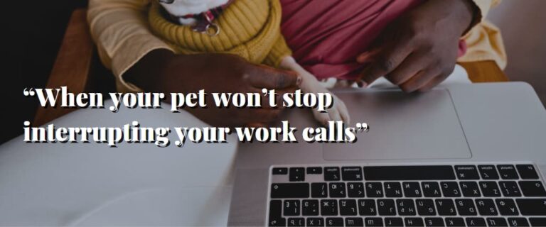 The Best Working From Home Memes of the Last Few Years - Visiting Australia