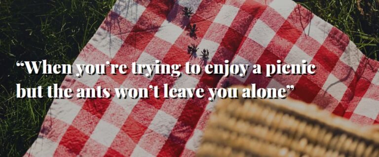 75 of the Funniest Australian Memes Explained - Visiting Australia