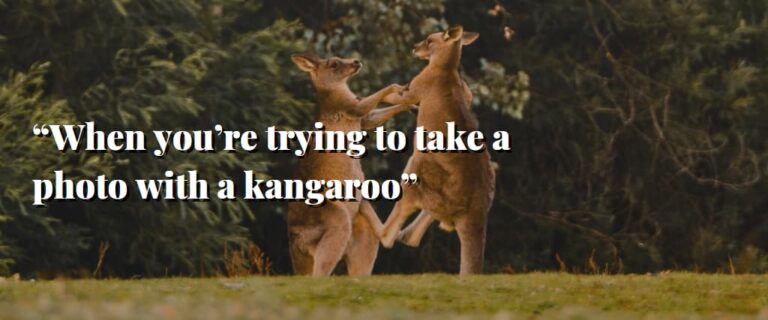 75 of the Funniest Australian Memes Explained - Visiting Australia