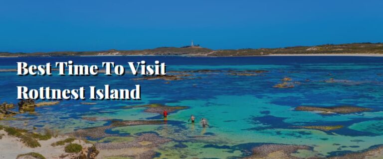 A Guide to Visiting Rottnest Island - Visiting Australia