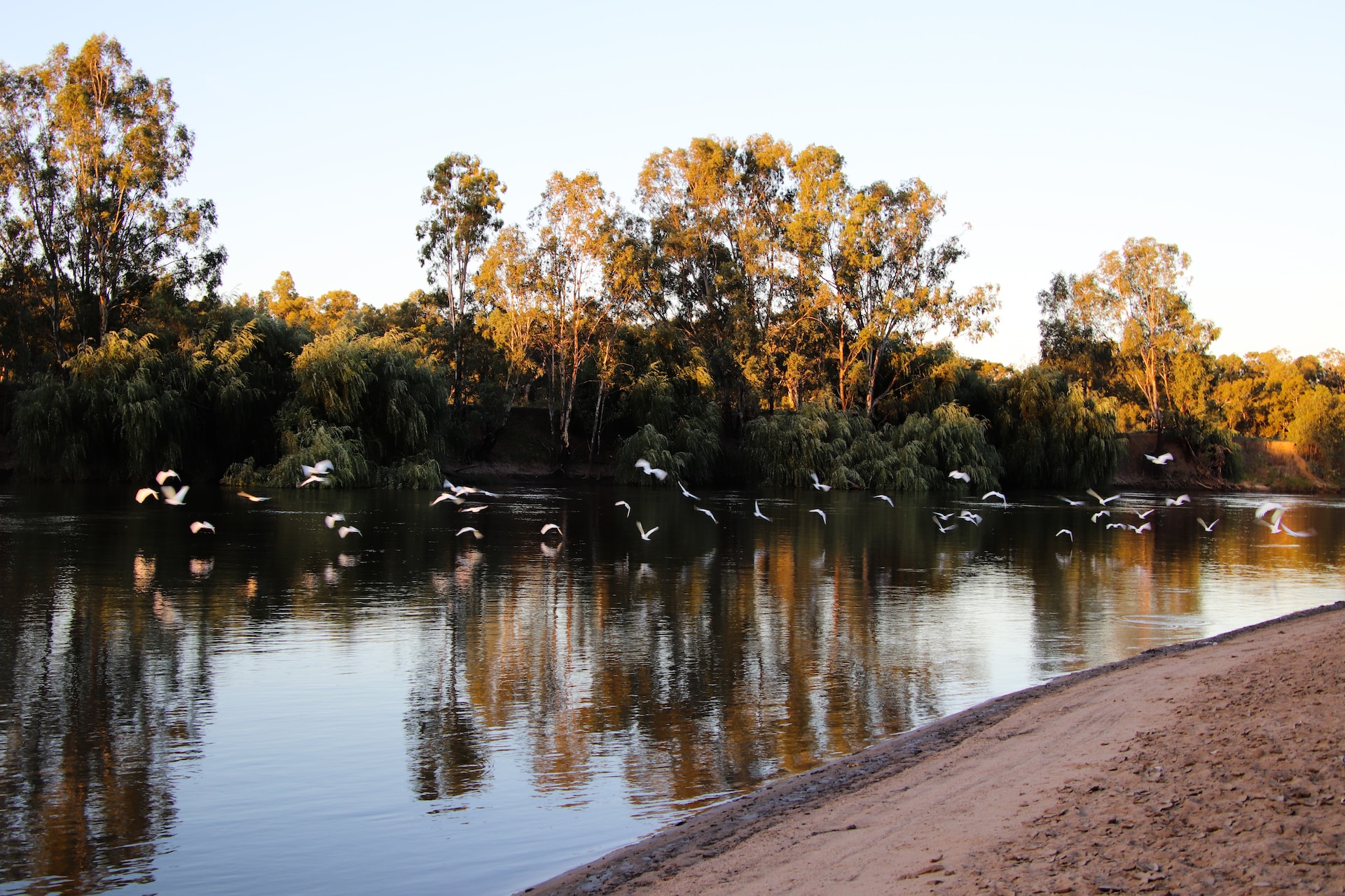 Your Comprehensive Guide To Visiting Wagga Wagga - Visiting Australia