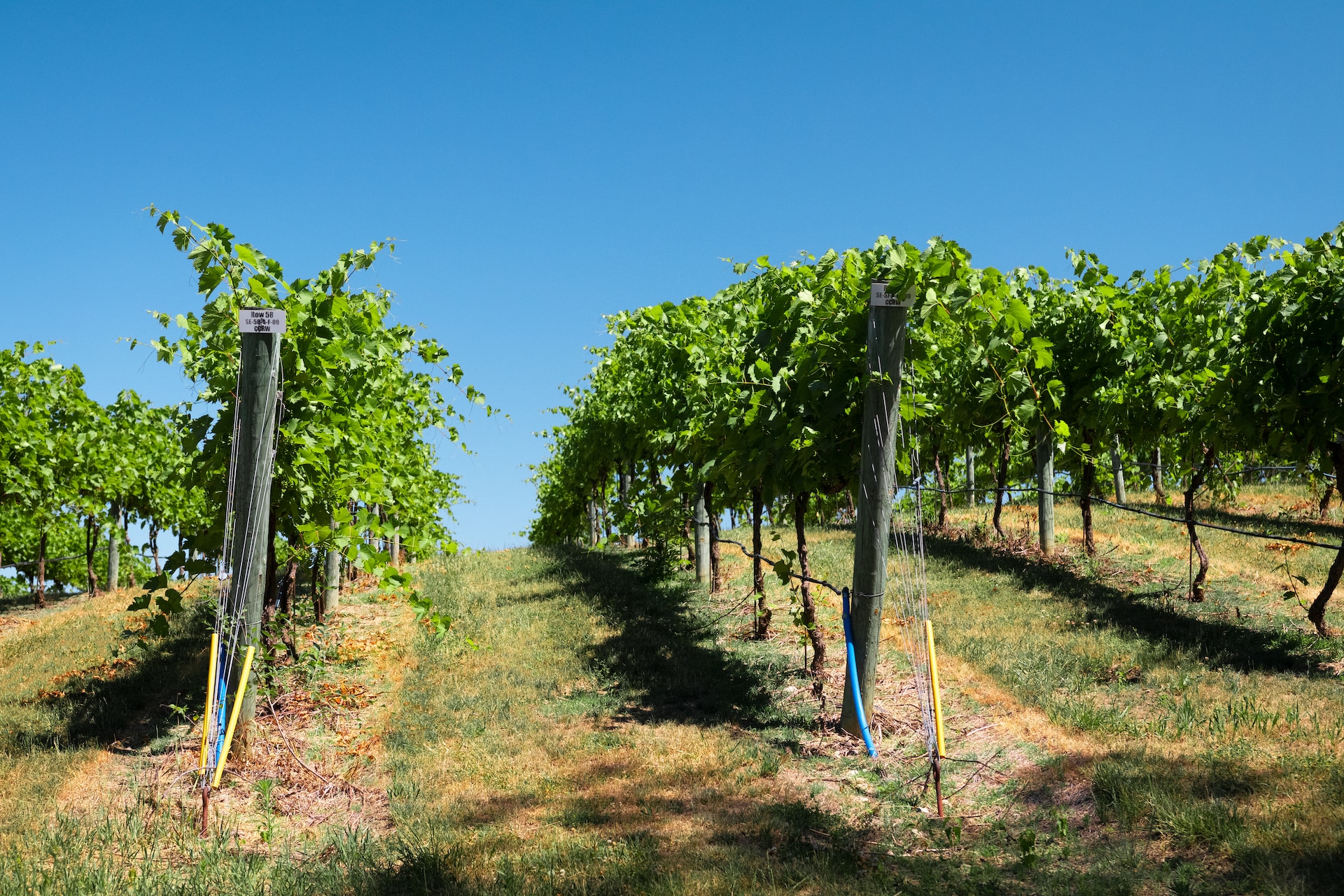 Your Comprehensive Guide To Visiting Shepparton in Victoria - Visiting ...