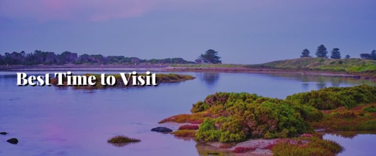 Your Comprehensive Guide To Visiting Griffiths in NSW - Visiting Australia