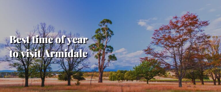 Your Complete Guide to Visiting Armidale in NSW - Visiting Australia