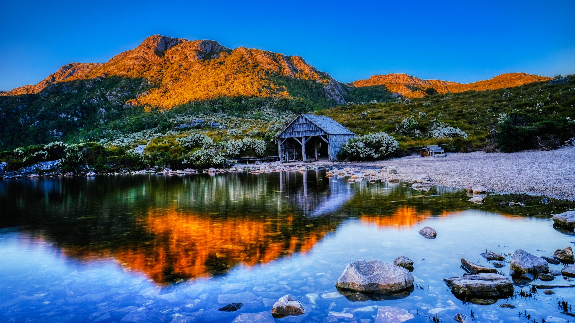 20 Must-Experience Attractions in Northern Tasmania - Visiting Australia