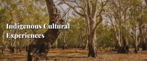 Your Complete Guide To Visiting The Murray River Region - Visiting ...
