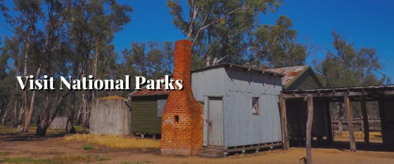 Your Complete Guide To Visiting The Murray River Region - Visiting ...