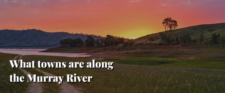 Your Complete Guide To Visiting The Murray River Region - Visiting ...