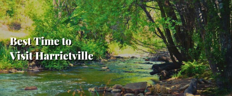 10 Things to Do in Harrietville, Victoria - Visiting Australia