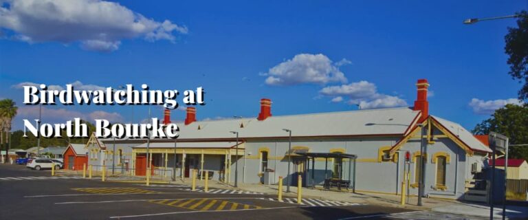 14 Things to do in Bourke in New South Wales - Visiting Australia