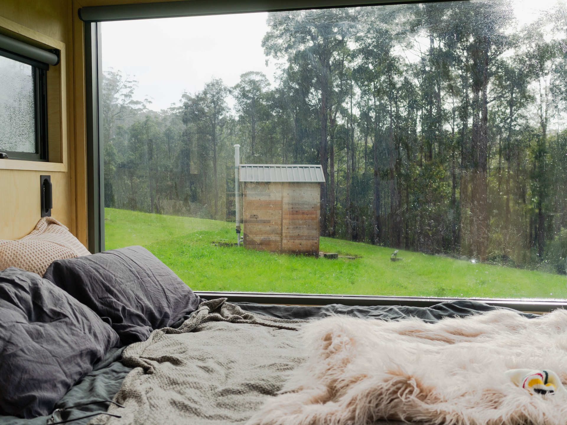 11 of The Best Things To See & Do in Pemberton in Western Australia ...