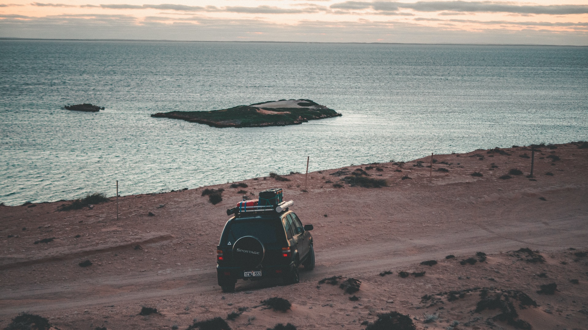 Everything you wanted to know about visiting Shark Bay in Western ...